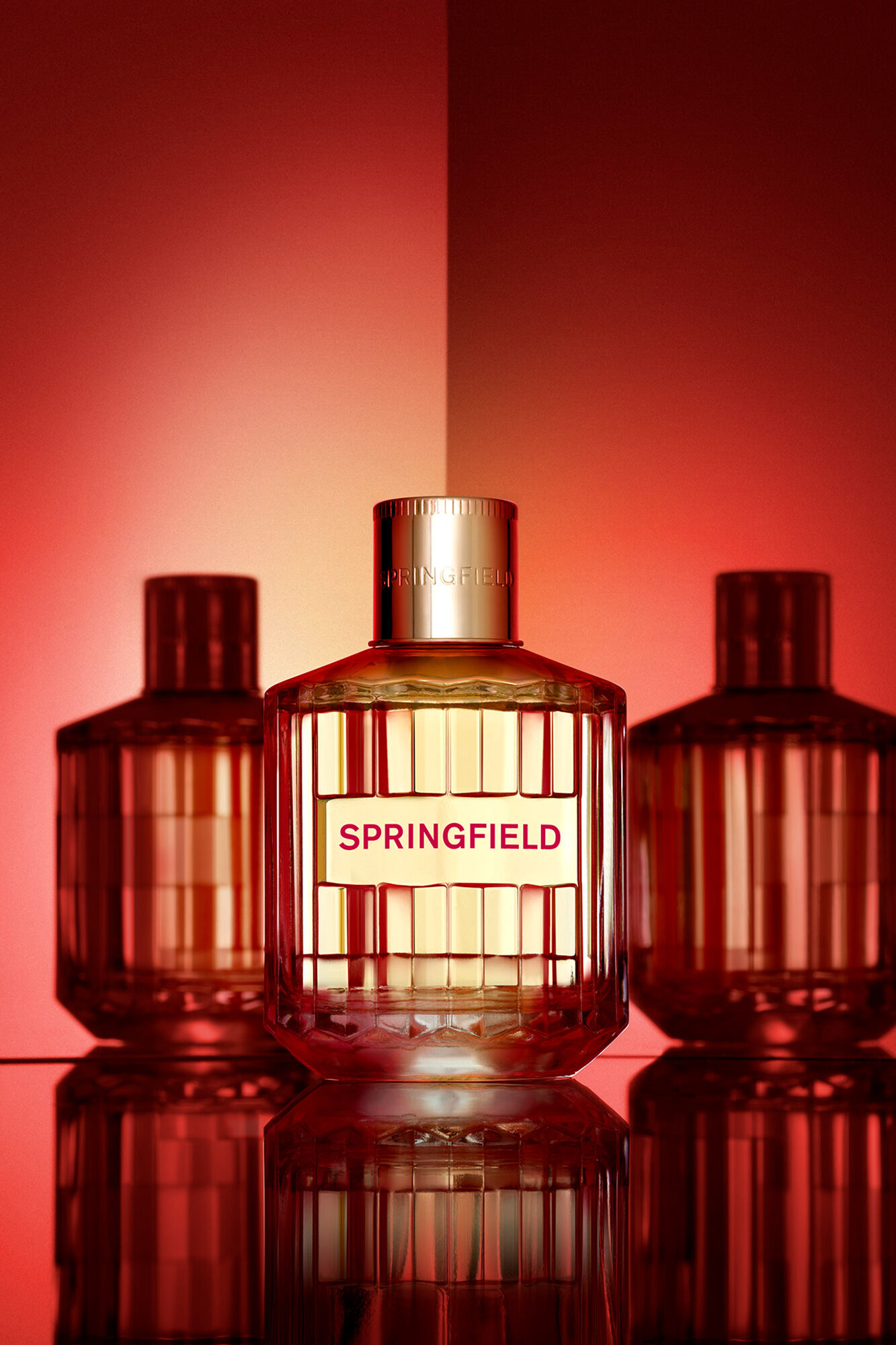 Complementos de mujer | Nueva Colección | Springfield México